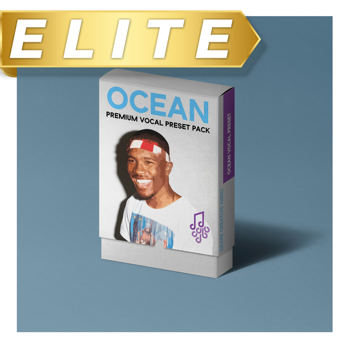 Singing Stars ELITE Vocal Preset Bundle – Grape Creative